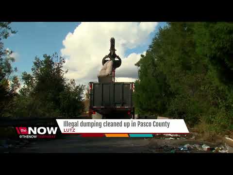 Illegal dumping cleaned up in Pasco County