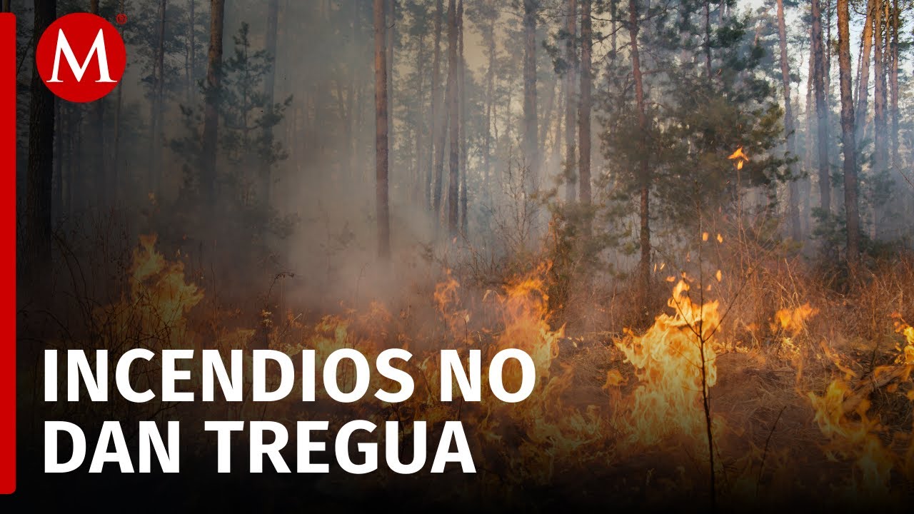Registran 19 incendios forestales activos en Chiapas