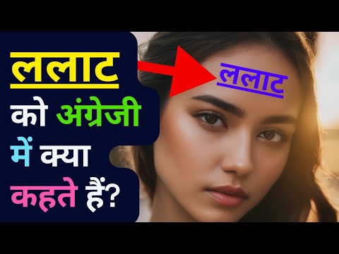 माथा or ललाट ko English Mein Kaise Kehte Hain? | 'Matha' and 'Lalat'  in English