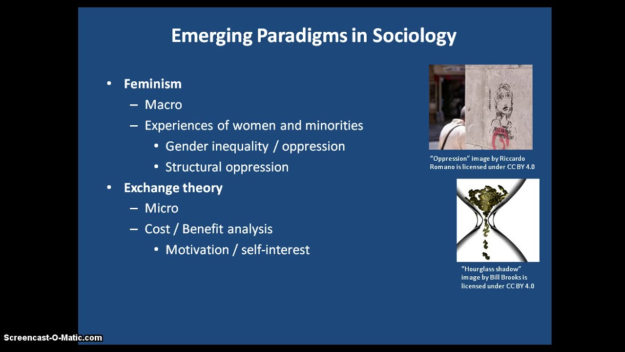 Emerging Paradigms in Sociology