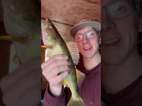 Is Lake of the Woods worth the trip?