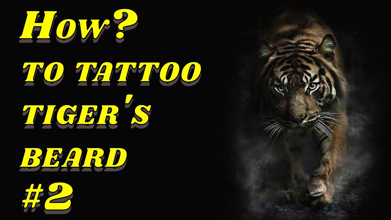 How to tattoo a tiger's beard/part2
