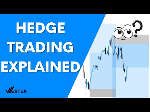 HEDGING EXPLAINED IN FOREX | Vertex Investing