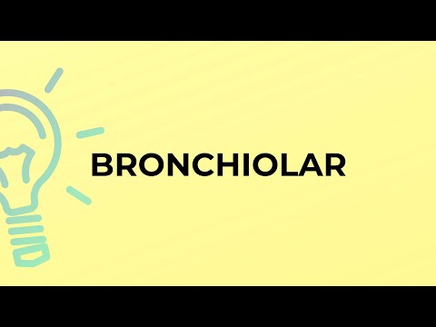 What is the meaning of the word BRONCHIOLAR?