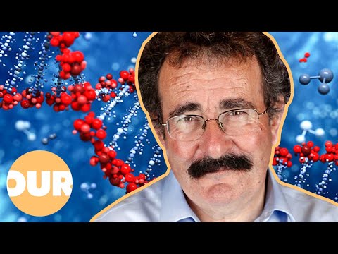 All In The Genes (Award-Winning Genetic Engineering Documentary) | Our Life