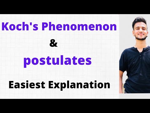 Koch's postulates and Koch's phenomenon in microbiology