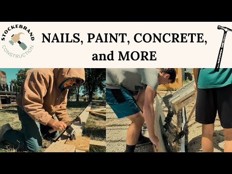 NAILS, PAINT, CONCRETE, and MORE.