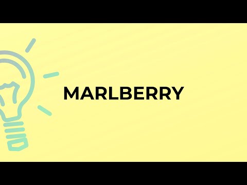 What is the meaning of the word MARLBERRY?