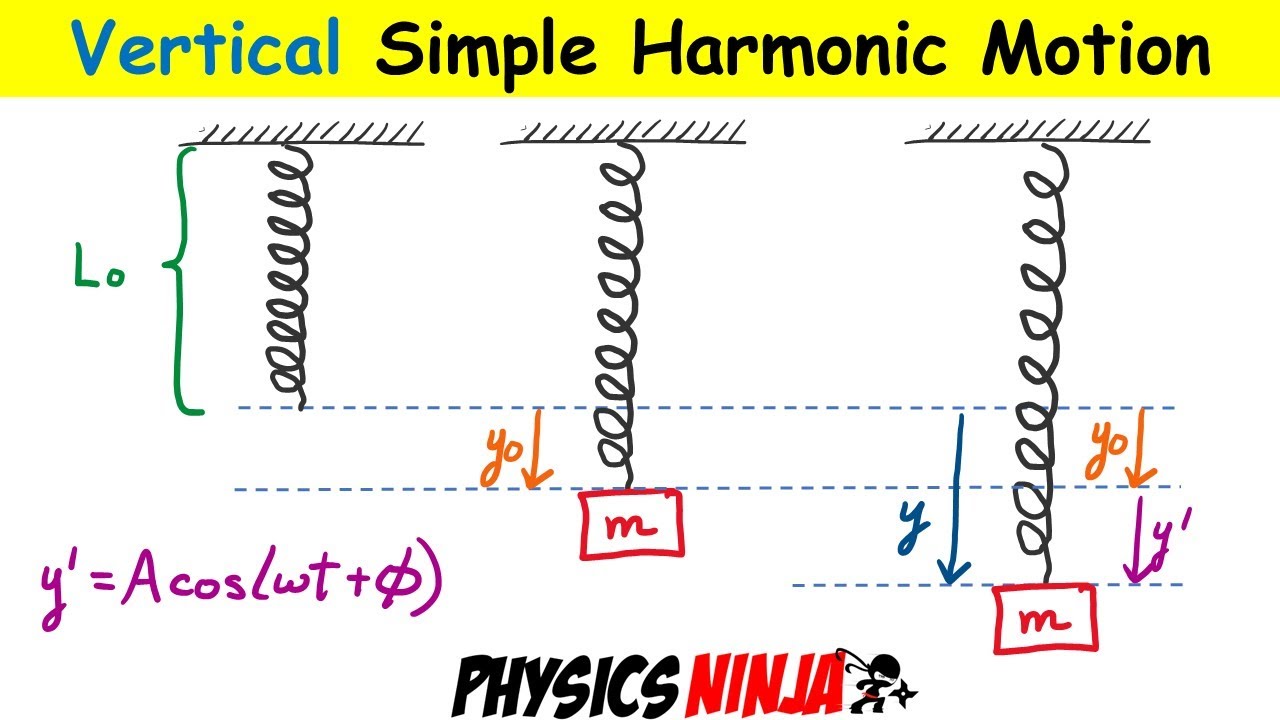 Vertical Simple Harmonic Motion