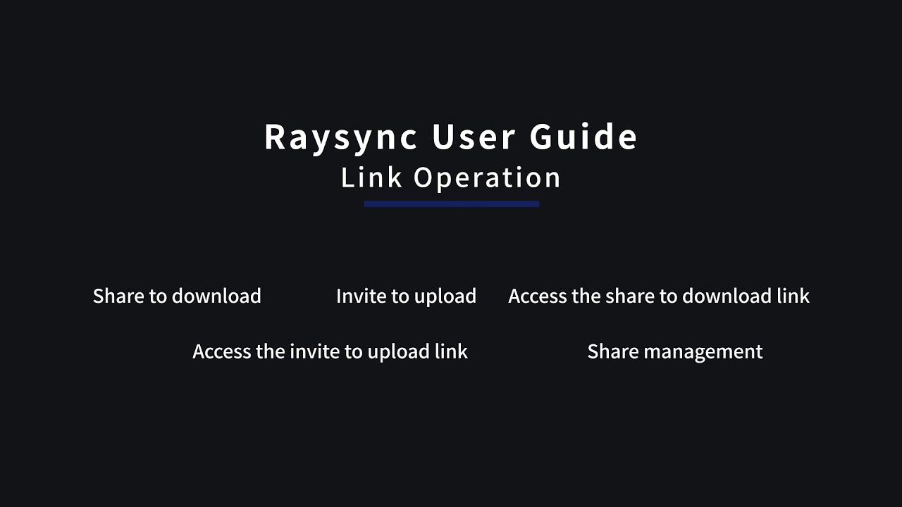 Raysync User Guide - Link Operation