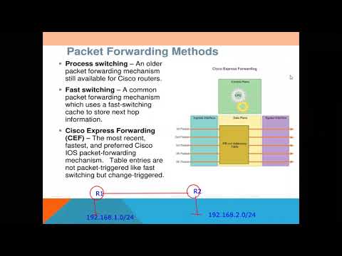 CEF (CISCO EXPRESS FORWARDING)