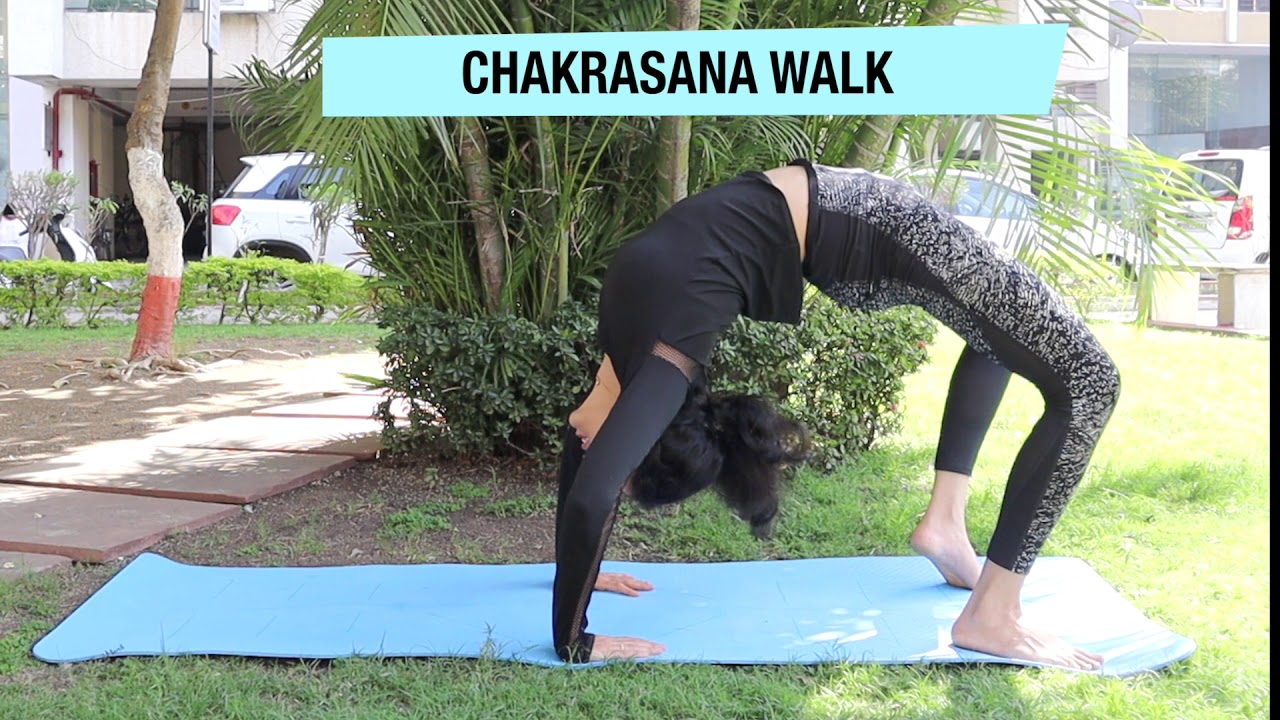 chakrasana wall | Wheelpose variations | Urdhva Dhanurasana | my practice