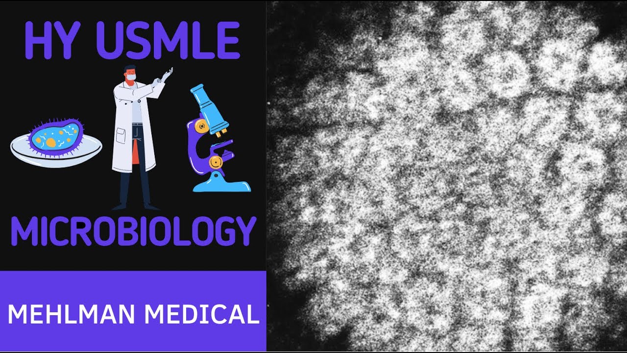HY USMLE MICROBIOLOGY - #258
