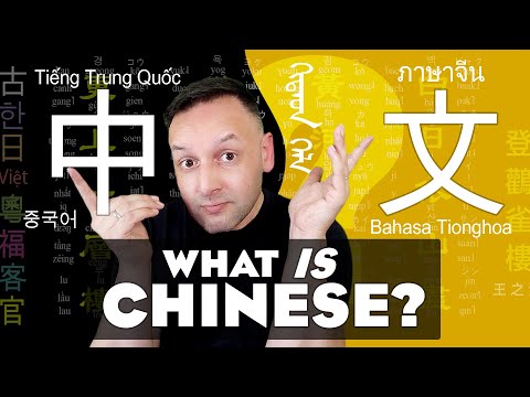 中文 😮 What is Chinese? 什麼是'中文' Understanding the Chinese Language Part 1 | Tiếng Trung Quóc