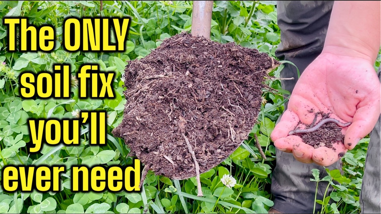 Transforming Poor Soil into Fertile Ground: The Lazy Way to Garden | Galaxy.ai