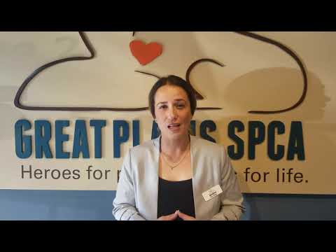 Great Plains SPCA Fund The Shelter featuring Humphrey