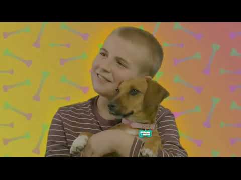 Roman To The Rescue & Howie mandel’s Animals Doing things Promo - Disney XD (2022)