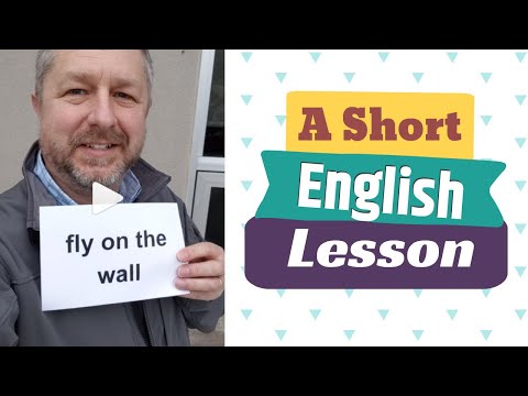 Meaning of A FLY ON THE WALL and NOSY - A Short English Lesson with Subtitles