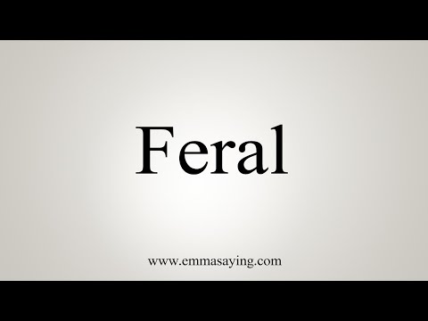 How To Say Feral