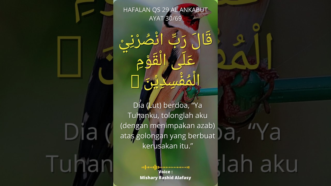 HAFALAN QS 29 SURAH AL ANKABUT AYAT 30 69