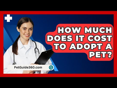 How Much Does It Cost to Adopt a Pet? - PetGuide360.com