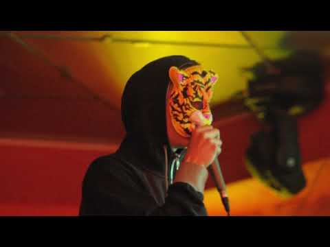 Animals Martin Garrix Masks