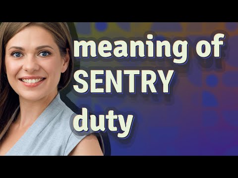 Sentry duty | meaning of Sentry duty