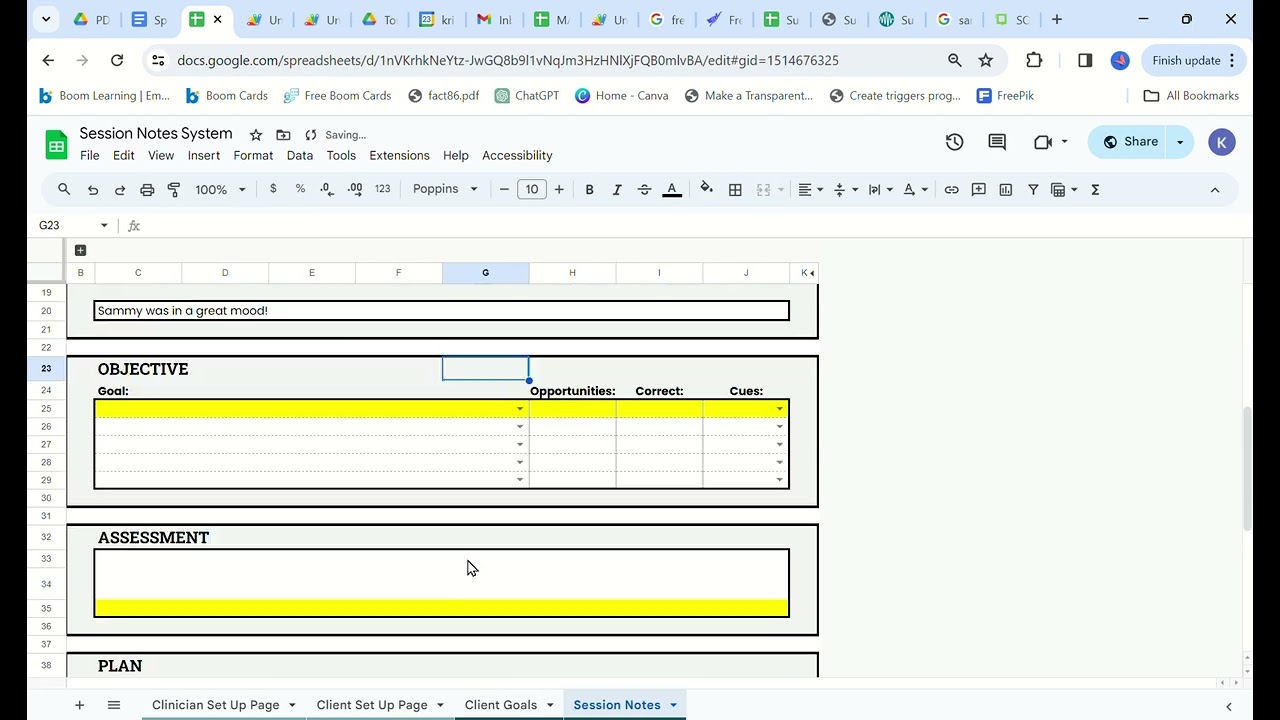 Session Notes System
