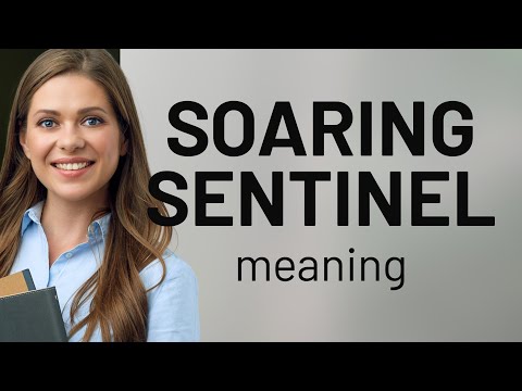 Soaring Sentinels: Unveiling the Beauty of Language