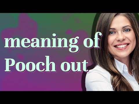Pooch out | meaning of Pooch out