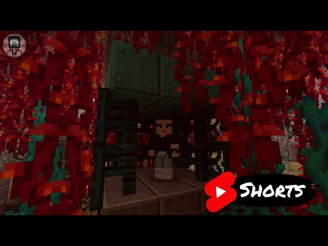 'The Gate' from Stranger Things!! Minecraft Map