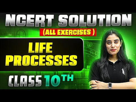 Life Processes | Complete NCERT WITH BACK EXERCISE in 1 Video | Class 10th Board