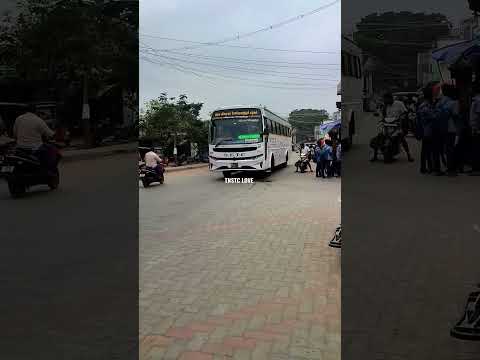 TNSTC SETC rider #tnstc #rider #white #bird