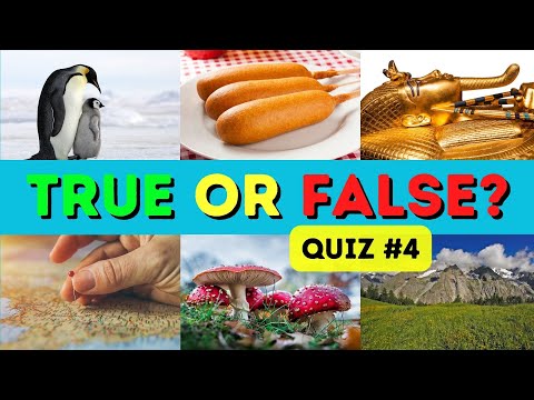 True or False General Knowledge Quiz #4 - Questions and Answers - Trivia Questions - 35 Questions
