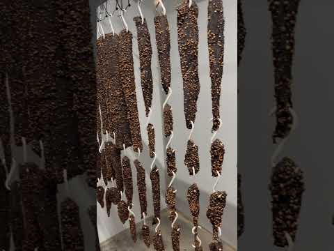 #biltong #meat #venison