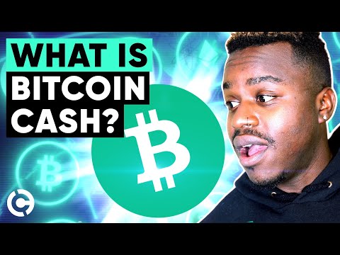 Bitcoin Cash | A Beginner's Guide