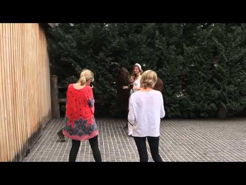 Equestrian Inspiration Photo Shoot for Modern Wedding's Styling Handbook