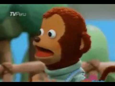 Surprised Monkey (MEME)