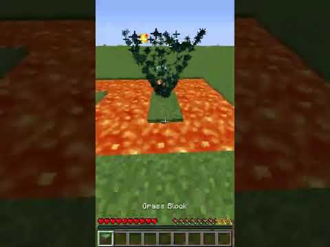 jenny or n̴̨̤͖̖̮͑͂̆͋̄̇͘o̷̥̥̯̠̙̝̱̠̬̞̾͛́̅̓̄͂͠͝ #shorts #minecraft #jennymod
