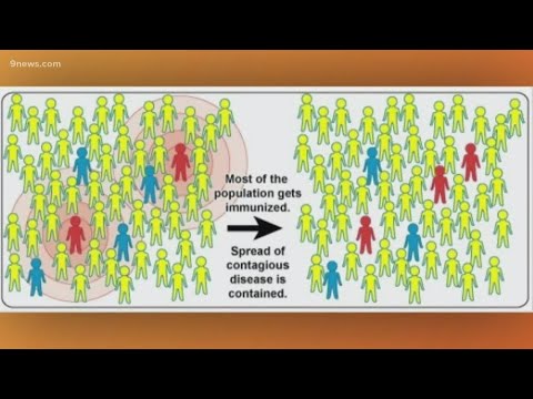 What is herd immunity?