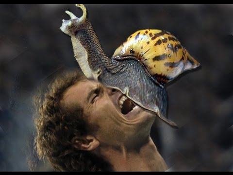 Giant Snails Invade Florida