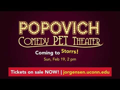 Popovich Comedy Pet Theater | Sun, Feb 19, 2 pm