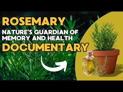Rosemary Full Documentary: The Ancient Plant with Healing Powers
