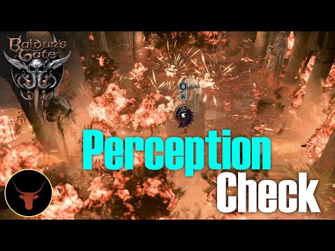 Steam Community :: Video :: [Baldur's gate 3] Perception Check - Patch 9 Solo RPG gameplay - 2023