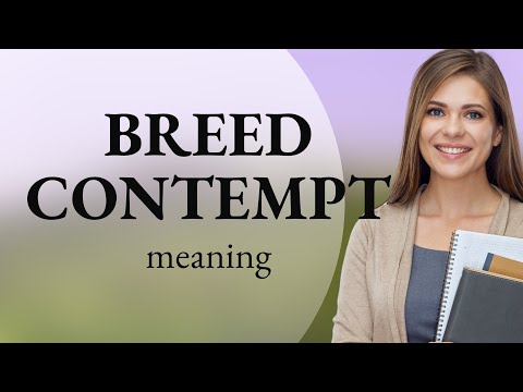 Understanding "Breed Contempt": A Guide for English Learners