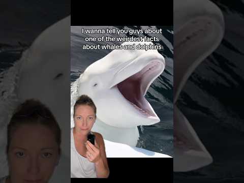 The Weirdest Fact about Whales #shorts