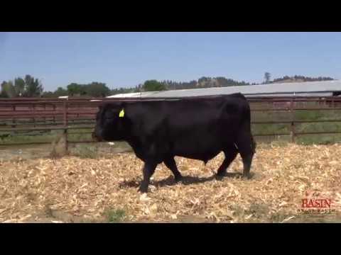 Lot 18 - Basin Payweight 7636