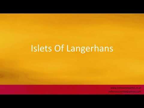 Pronunciation of the word(s) "Islets Of Langerhans".