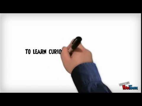 What is curiosity