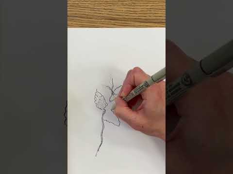 Observational Drawing | Continuous Line Rose #shorts